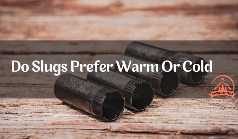 Do Slugs Prefer Warm or Cold? - Choke for Trap