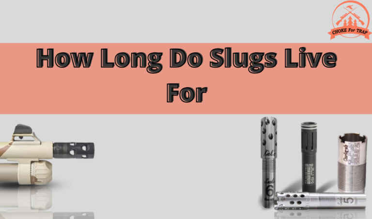 How Long Do Slugs Live for - Choke For Trap